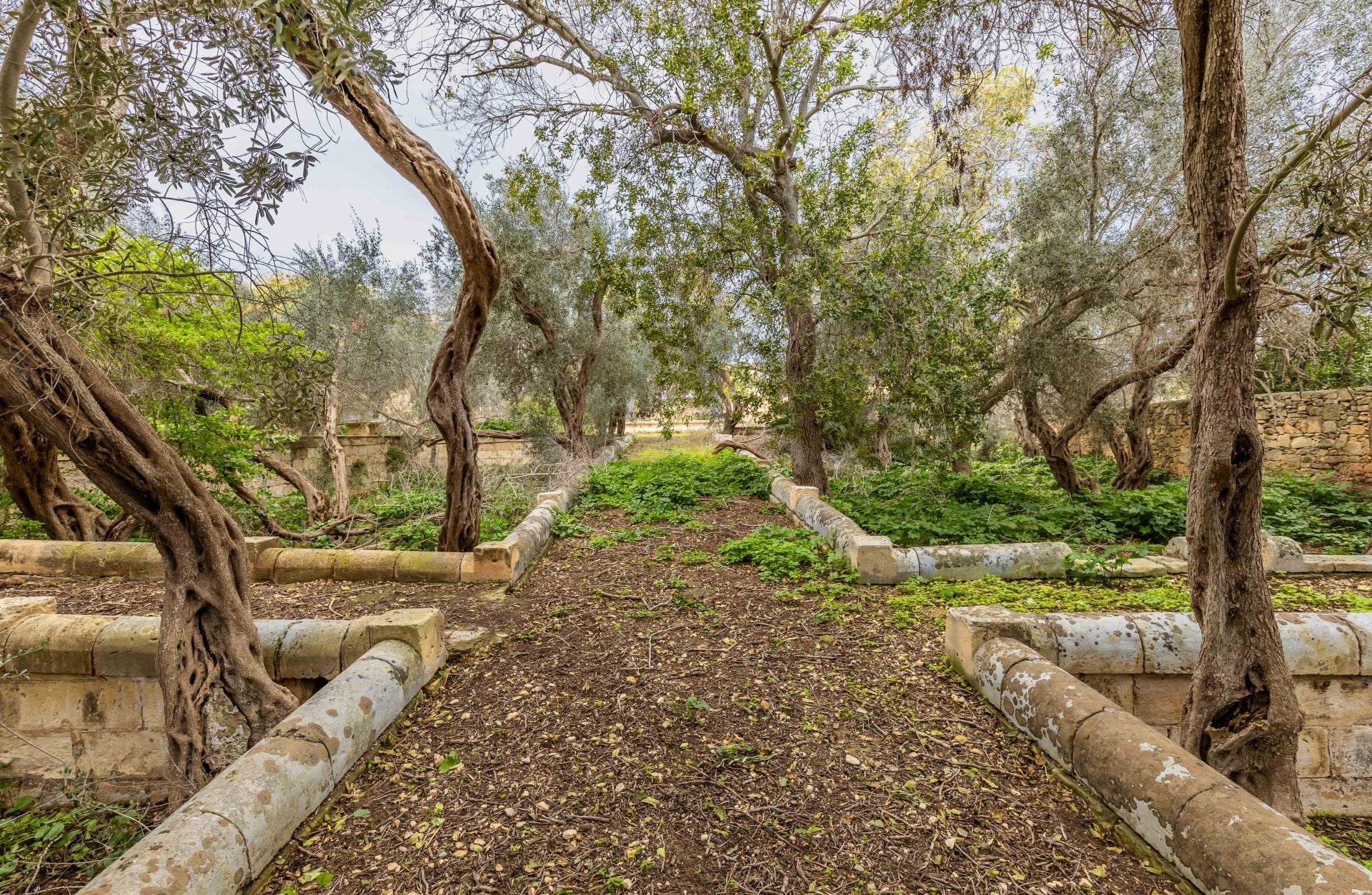 Zebbug Palazzo | Real Estate | Henley & Partners